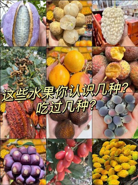 特殊水果图片名字大全_如何快速识别罕见水果-第3张图片-山城妙识