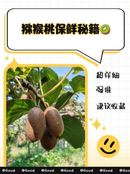 猕猴桃怎么保存时间长_猕猴桃可以放多久-第3张图片-山城妙识