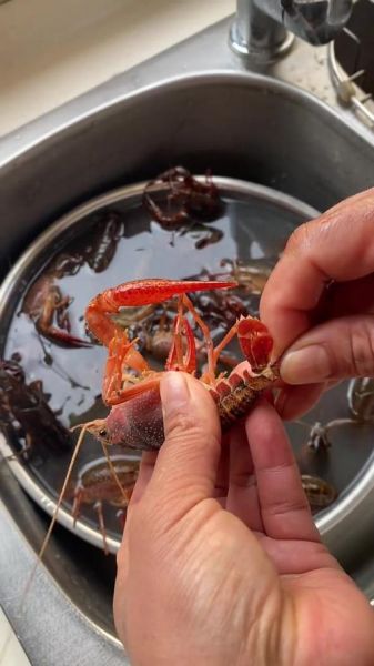 龙虾用什么泡洗的干净_龙虾清洗的正确方法-第2张图片-山城妙识 龙虾用什么泡洗的干净_龙虾清洗的正确方法-第2张图片-山城妙识