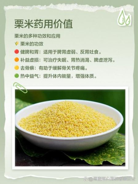 粟米是粗粮吗_粟米的营养价值与功效-第2张图片-山城妙识