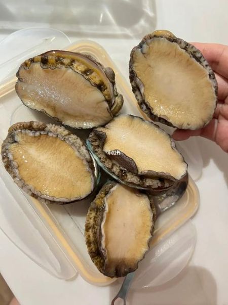 鲍鱼死了可以吃吗_死了多久还能吃-第1张图片-山城妙识 鲍鱼死了可以吃吗_死了多久还能吃-第1张图片-山城妙识