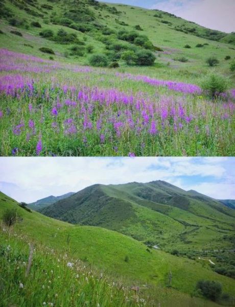 鹧鸪山海拔多少米_鹧鸪山海拔高度是多少-第3张图片-山城妙识