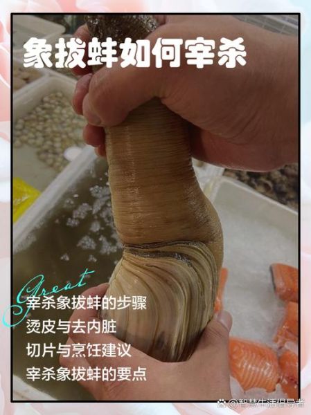 象拔蚌app是什么_象拔蚌app怎么用-第2张图片-山城妙识