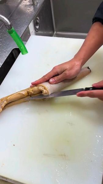 象拔蚌app是什么_象拔蚌app怎么用-第3张图片-山城妙识