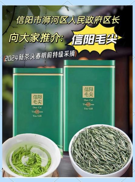 信阳毛尖属于什么档次_信阳毛尖价格区间-第1张图片-山城妙识 信阳毛尖属于什么档次_信阳毛尖价格区间-第1张图片-山城妙识