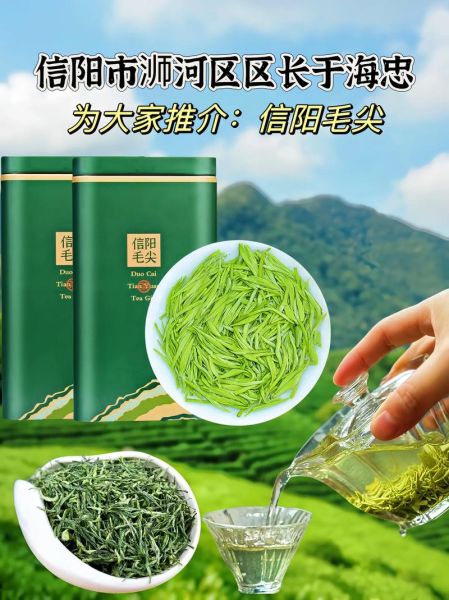 信阳毛尖属于什么档次_信阳毛尖价格区间-第2张图片-山城妙识 信阳毛尖属于什么档次_信阳毛尖价格区间-第2张图片-山城妙识