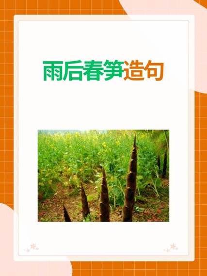 雨后春笋造句_如何用雨后春笋造句-第1张图片-山城妙识