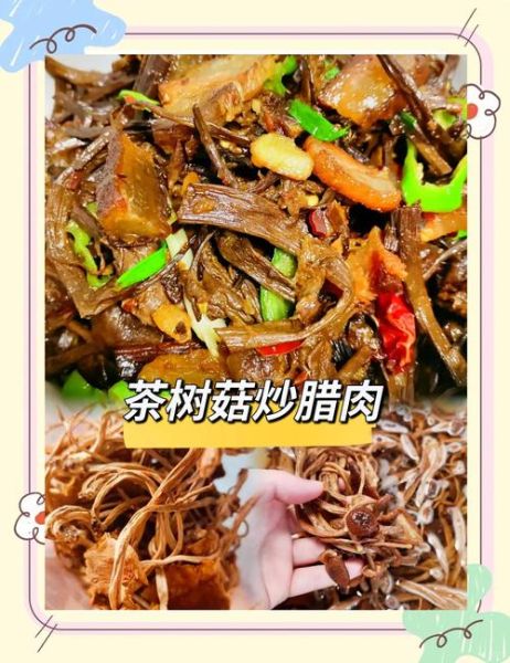 茶树菇烧肉怎么烧好吃_茶树菇烧肉的家常做法-第1张图片-山城妙识