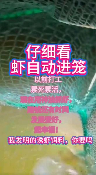 河虾进笼子最快吃什么_河虾诱饵配方-第1张图片-山城妙识