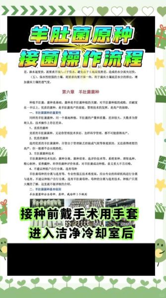 羊肚菌种植技术规程_羊肚菌怎么种-第1张图片-山城妙识