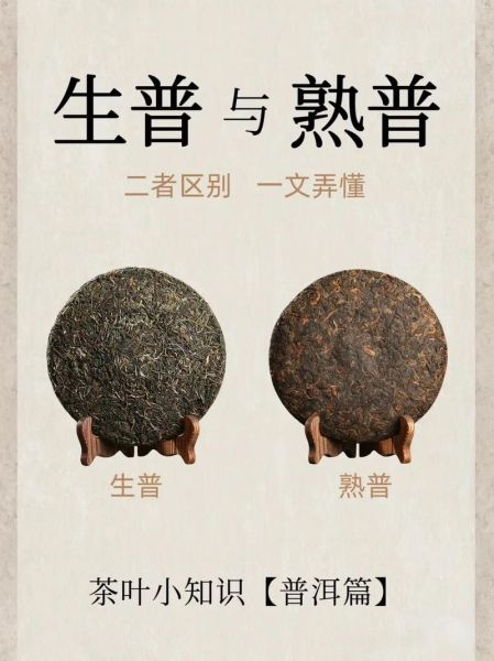 普洱茶怎么储存_生茶和熟茶的区别-第2张图片-山城妙识 普洱茶怎么储存_生茶和熟茶的区别-第2张图片-山城妙识
