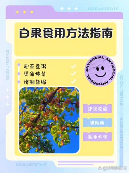 白果怎么吃_白果的正确食用方法-第1张图片-山城妙识