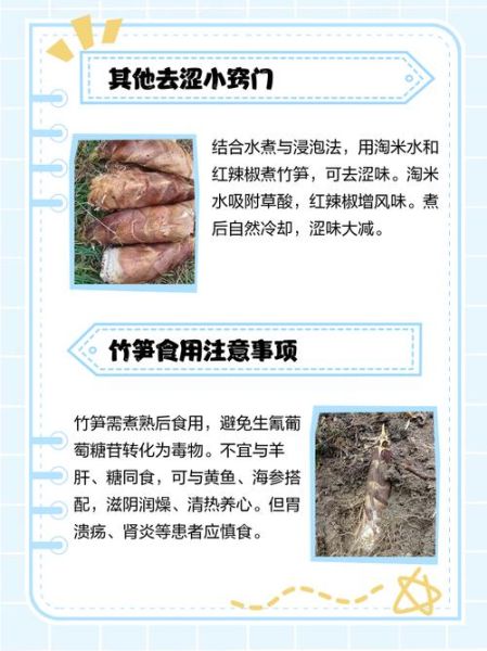 新鲜竹笋怎么处理_竹笋去涩最快方法-第1张图片-山城妙识