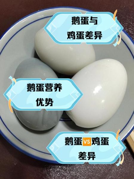 鹅蛋不能和什么一起吃_鹅蛋与什么食物相克-第3张图片-山城妙识