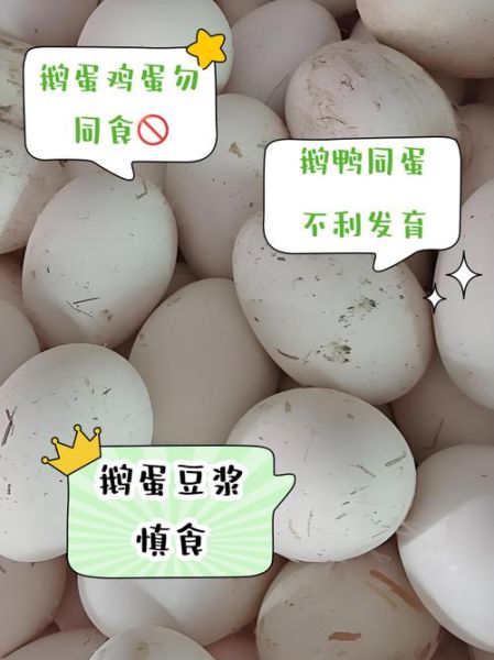 鹅蛋不能和什么一起吃_鹅蛋与什么食物相克-第2张图片-山城妙识