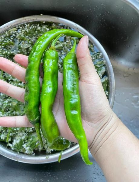 东北韭菜花酱怎么做_韭菜花酱能保存多久-第1张图片-山城妙识