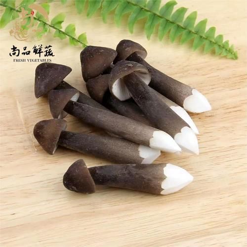 黑皮鸡枞菌图片怎么辨别真假_黑皮鸡枞菌与鸡枞菌区别-第1张图片-山城妙识