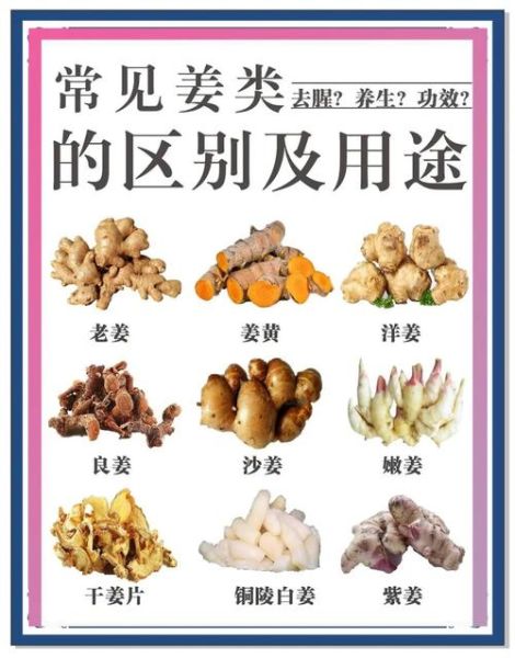 黄姜和姜黄一样吗_黄姜与姜黄的区别-第1张图片-山城妙识 黄姜和姜黄一样吗_黄姜与姜黄的区别-第1张图片-山城妙识