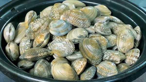 花甲是多少岁_古稀是多少岁-第2张图片-山城妙识 花甲是多少岁_古稀是多少岁-第2张图片-山城妙识