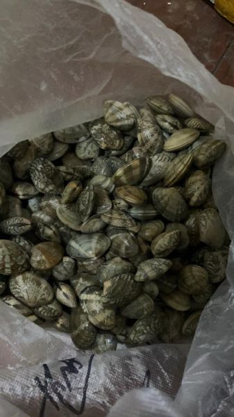 花甲是多少岁_古稀是多少岁-第3张图片-山城妙识 花甲是多少岁_古稀是多少岁-第3张图片-山城妙识