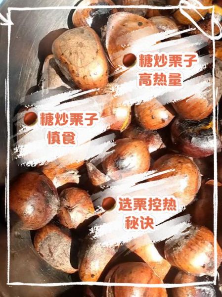 减肥期间可以吃栗子吗_栗子热量高不高-第2张图片-山城妙识