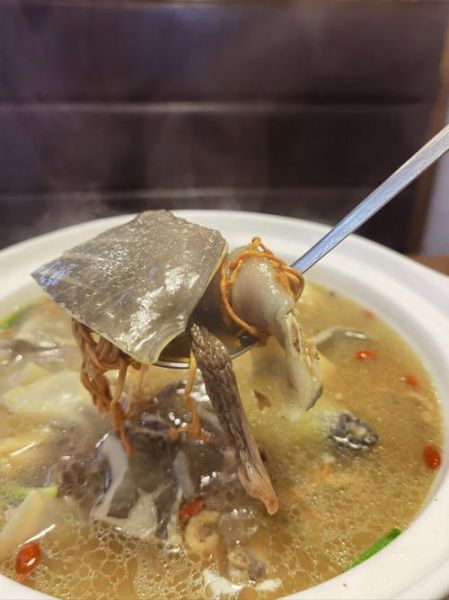 甲鱼焖鸡的做法大全_甲鱼焖鸡怎么做好吃又营养-第2张图片-山城妙识 甲鱼焖鸡的做法大全_甲鱼焖鸡怎么做好吃又营养-第2张图片-山城妙识