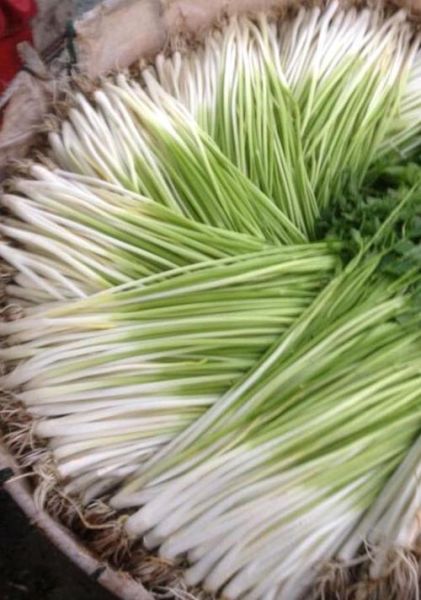 水芹菜图片_水芹菜怎么辨认-第2张图片-山城妙识 水芹菜图片_水芹菜怎么辨认-第2张图片-山城妙识