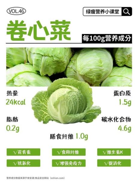 包菜热量是多少_减肥能吃包菜吗-第2张图片-山城妙识 包菜热量是多少_减肥能吃包菜吗-第2张图片-山城妙识