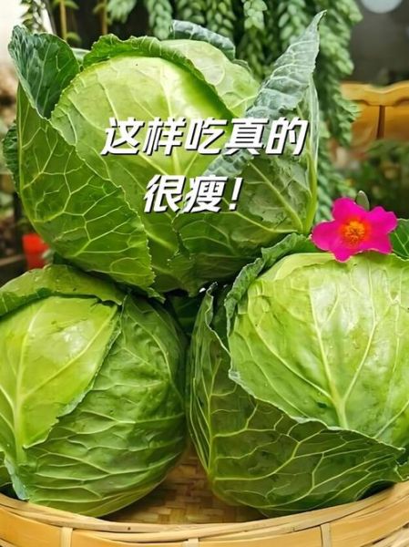 包菜热量是多少_减肥能吃包菜吗-第3张图片-山城妙识 包菜热量是多少_减肥能吃包菜吗-第3张图片-山城妙识
