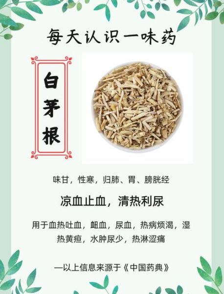 白茅根煮水禁忌有哪些_白茅根泡水喝的副作用-第1张图片-山城妙识