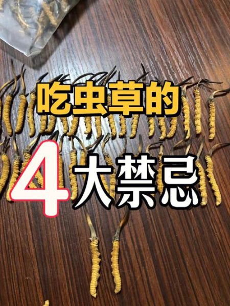 虫草不适合什么人吃_哪些体质不能吃虫草-第3张图片-山城妙识