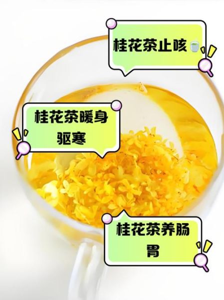 桂花茶哪些人不能喝_桂花茶禁忌人群-第3张图片-山城妙识 桂花茶哪些人不能喝_桂花茶禁忌人群-第3张图片-山城妙识