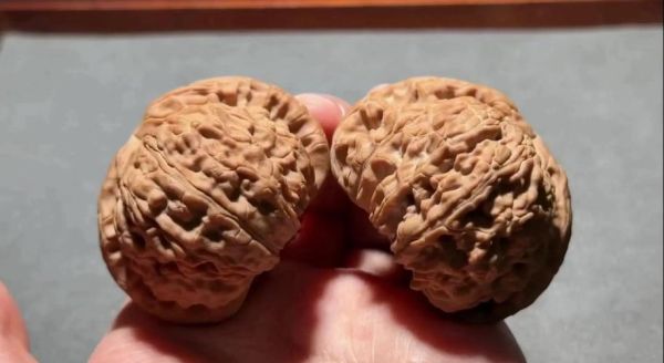 闷尖狮子头是什么_闷尖狮子头怎么盘玩-第3张图片-山城妙识