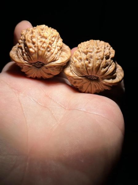 闷尖狮子头是什么_闷尖狮子头怎么盘玩-第2张图片-山城妙识