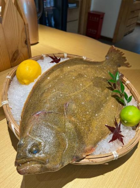 深海比目鱼长什么样_深海比目鱼能吃吗-第1张图片-山城妙识