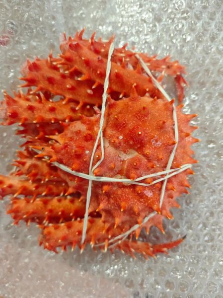 熟冻帝王蟹怎么解冻不柴_帝王蟹肉嫩技巧-第2张图片-山城妙识 熟冻帝王蟹怎么解冻不柴_帝王蟹肉嫩技巧-第2张图片-山城妙识