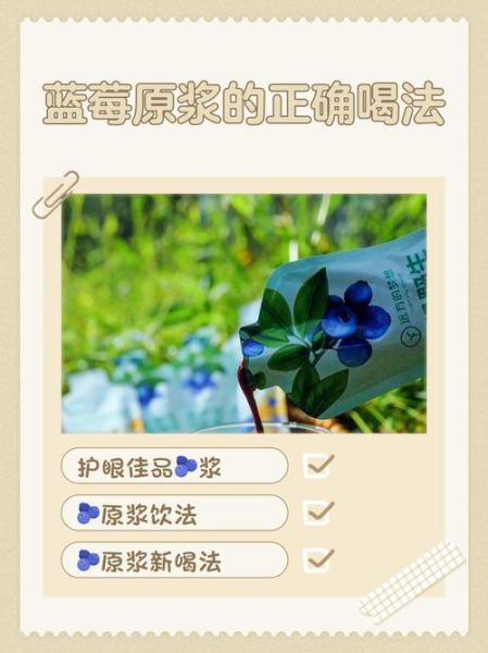 蓝莓汁怎么熬_蓝莓汁熬多久才出味-第1张图片-山城妙识