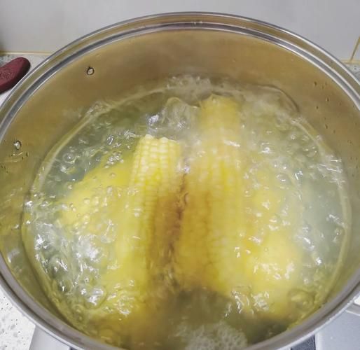 高压锅煮玉米要多久_高压锅煮玉米水要没过玉米吗-第1张图片-山城妙识