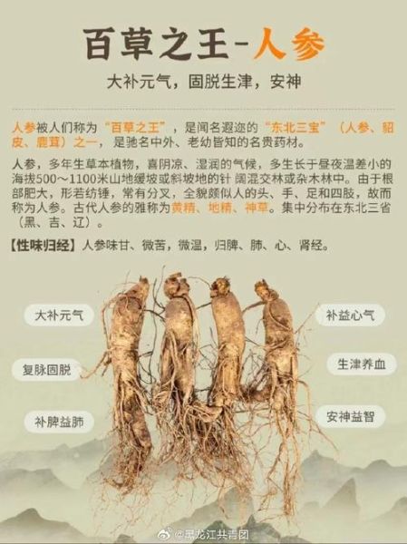 人参的功效有哪些_人参怎么吃效果最好-第1张图片-山城妙识