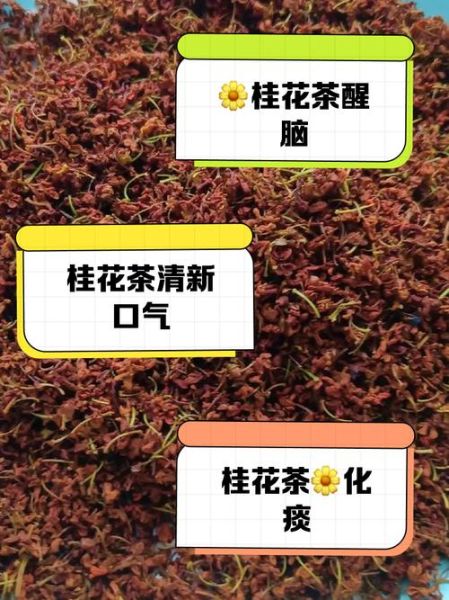 鲜桂花怎么处理才能泡水喝_鲜桂花泡水喝的正确方法-第1张图片-山城妙识