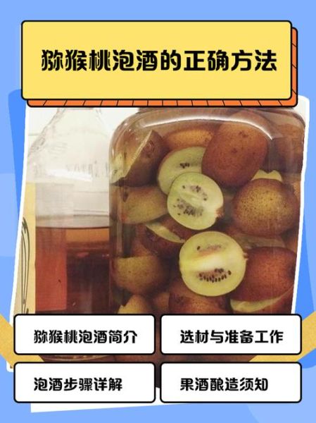 猕猴桃泡酒的功效与作用_猕猴桃泡酒能放多久-第1张图片-山城妙识 猕猴桃泡酒的功效与作用_猕猴桃泡酒能放多久-第1张图片-山城妙识