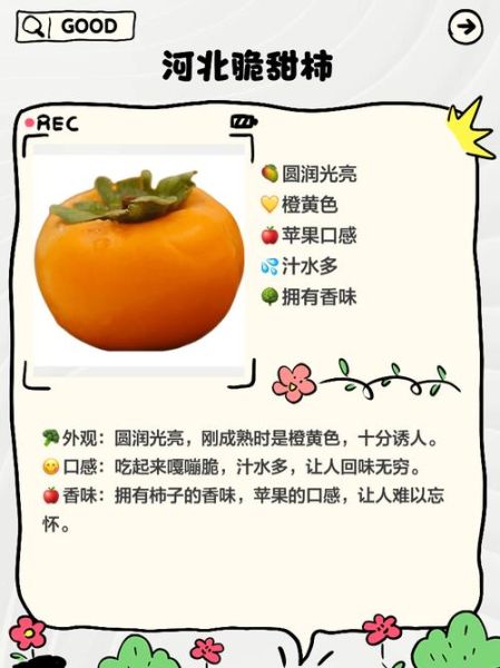 柿子品种大全名称_哪种最好吃-第3张图片-山城妙识 柿子品种大全名称_哪种最好吃-第3张图片-山城妙识