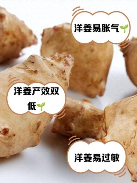 洋姜什么人不能吃_洋姜禁忌人群有哪些-第1张图片-山城妙识