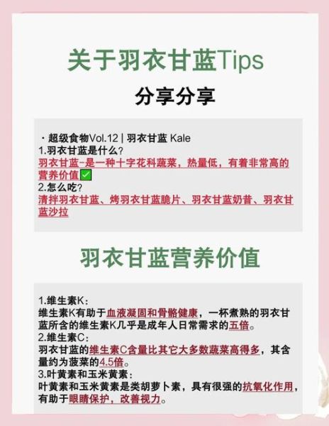 羽衣甘蓝的营养价值_羽衣甘蓝怎么吃最有营养-第1张图片-山城妙识