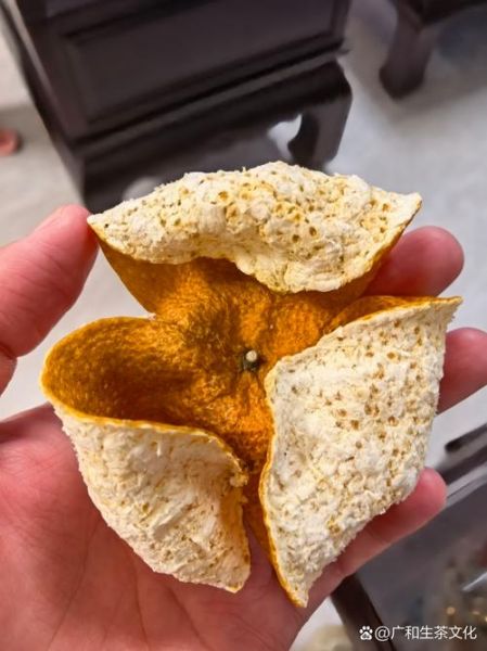 陈皮是用哪种桔子做的_新会柑与茶枝柑区别-第3张图片-山城妙识 陈皮是用哪种桔子做的_新会柑与茶枝柑区别-第3张图片-山城妙识