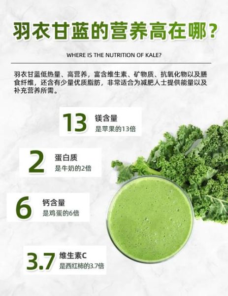 羽衣甘蓝的营养价值_羽衣甘蓝怎么吃最有营养-第2张图片-山城妙识