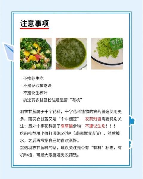 羽衣甘蓝的营养价值_羽衣甘蓝怎么吃最有营养-第3张图片-山城妙识