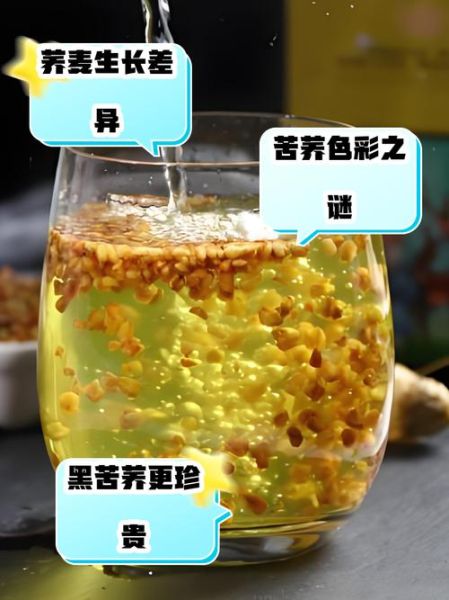 苦荞和荞麦的区别_苦荞是荞麦吗-第3张图片-山城妙识