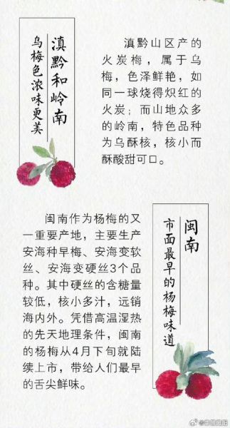 女人吃杨梅有什么好处_经期能吃杨梅吗-第2张图片-山城妙识