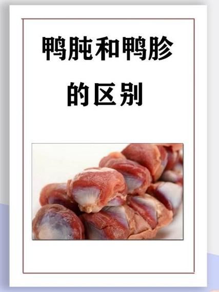 鸭胗和鸭肫的区别_鸭胗是鸭肫吗-第1张图片-山城妙识 鸭胗和鸭肫的区别_鸭胗是鸭肫吗-第1张图片-山城妙识